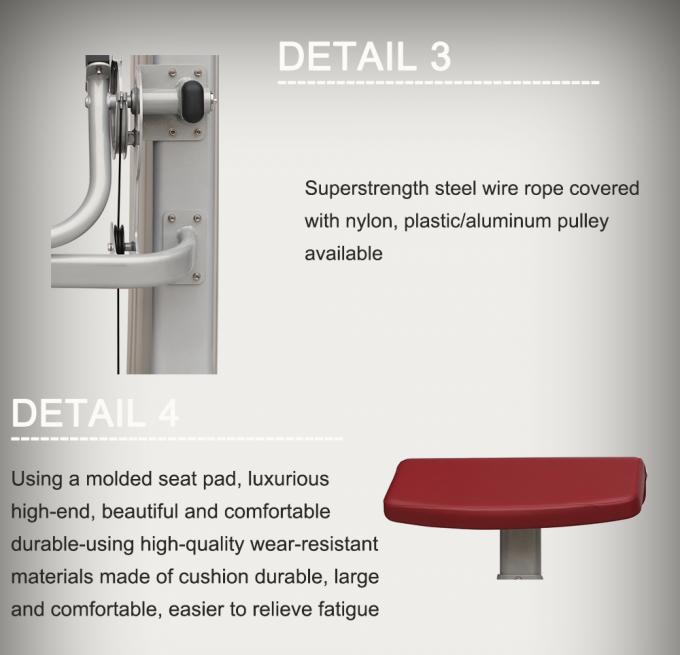 Gym Matrix Strength Training Equipment Biceps Curl Machine