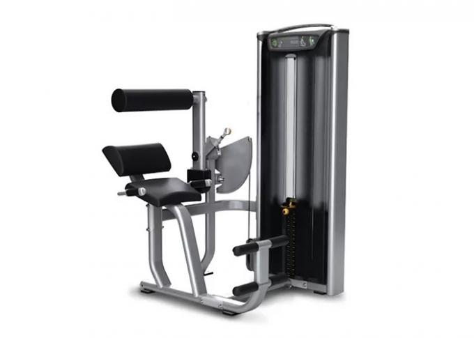 Professional Matrix Exercise Equipment Seated Back Extension Machine
